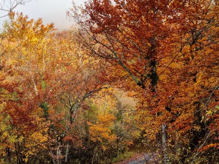 Aos pés dos Rochers Saint Michel desde Châteaufort - gravel em loop ...
