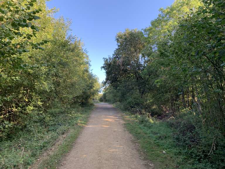 Salcey Forest Routes for Walking and Hiking | Komoot