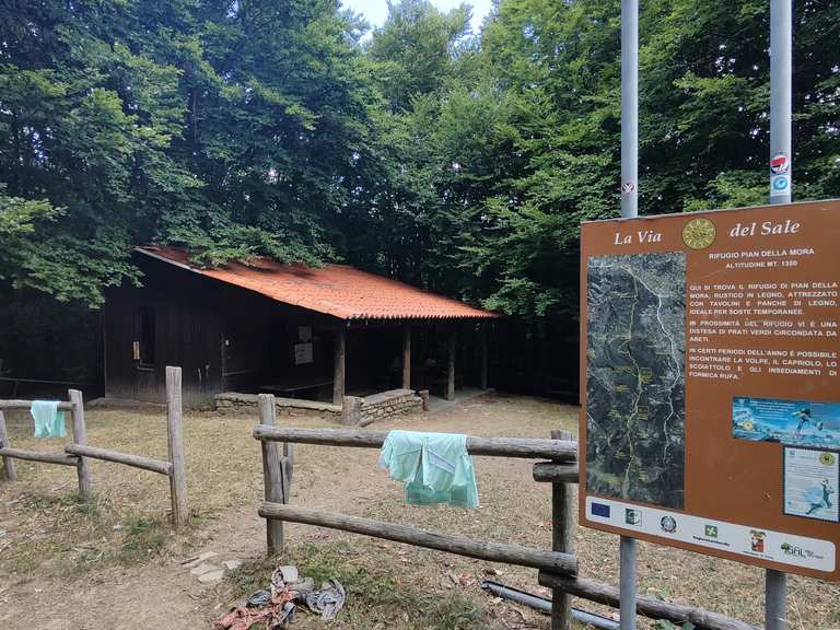 Grande Traversata dalla Valle Staffora alla Val Curone | Komoot