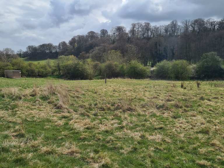 Dale Abbey ruins Routes for Walking and Hiking | Komoot