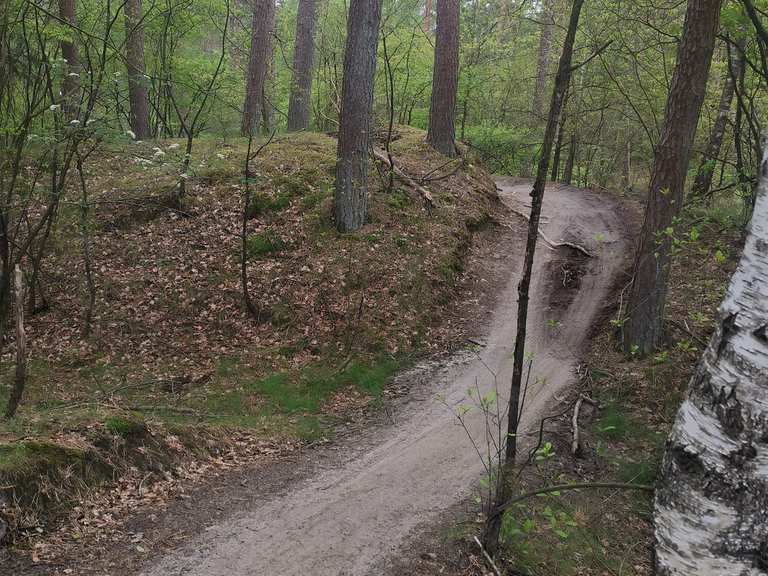 Deel MTB route Appelscha: MTB-routes en trails | Komoot