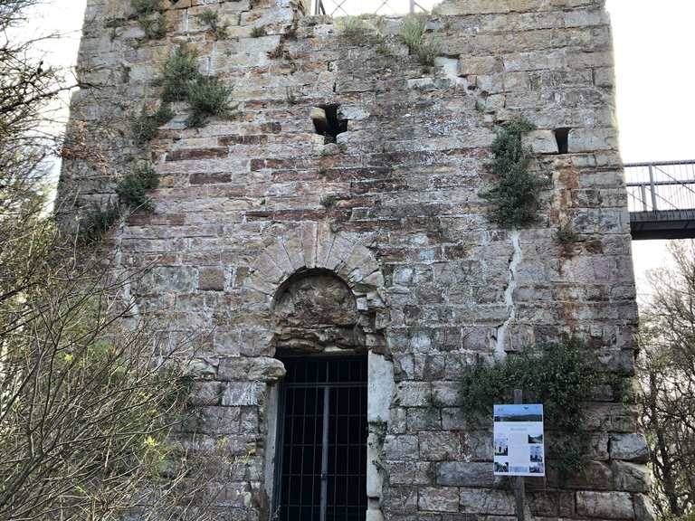 Sassicaia-Trail – Turm La Pievaccia Runde von Follonica | Mountainbike ...