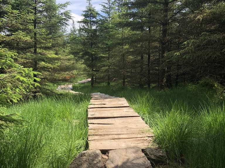 Gisburn Forest The 8 Red loop — Forest of Bowland | mountain bike ride ...