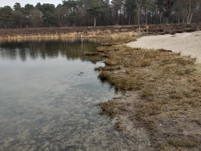 Mooi uitzicht over meertje wandelroutes en hikes | Komoot