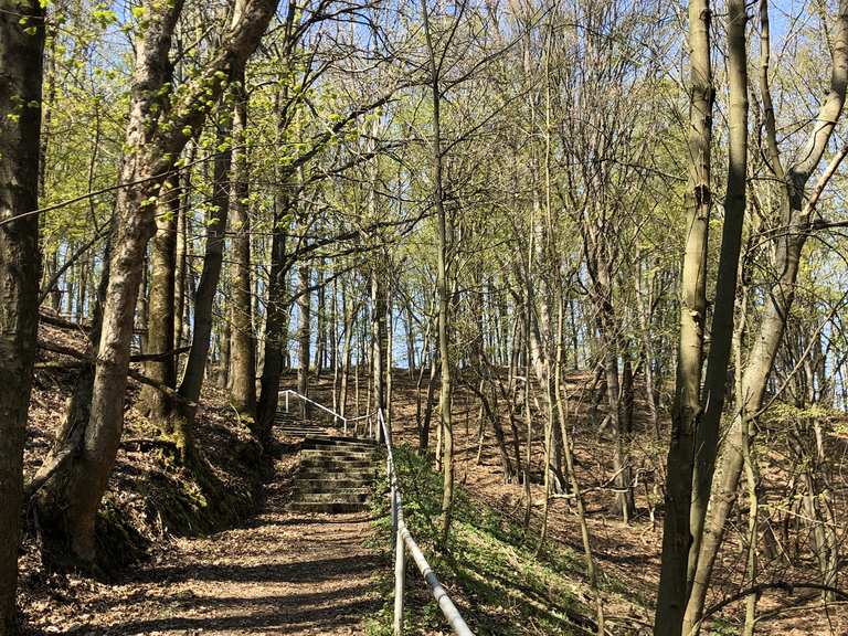 Brücke über die Freiberger Mulde: Wanderungen und Rundwege | komoot