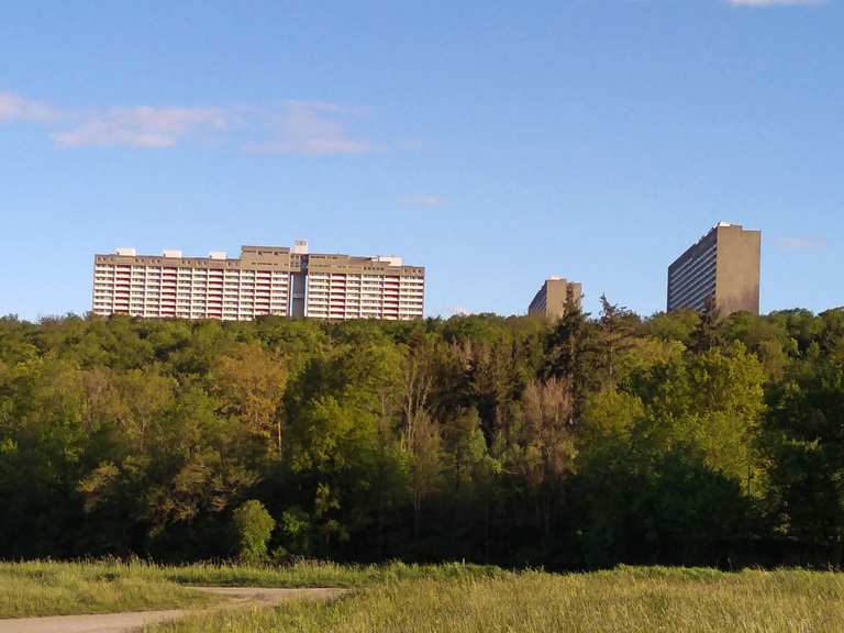 Wohnstadt Asemwald (Hannibal): Wanderungen und Rundwege | komoot