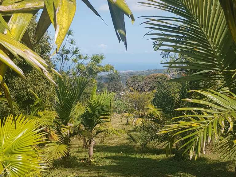 Parc des Palmiers: Wanderungen und Rundwege | komoot