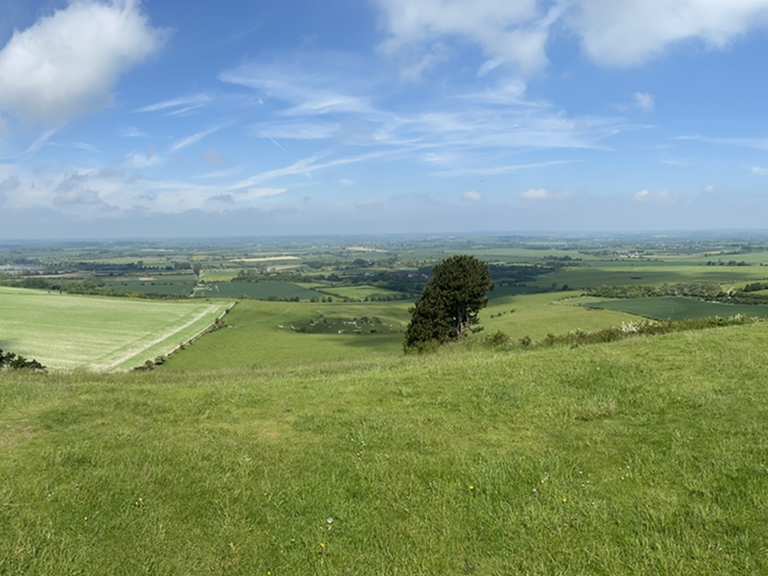 Ivinghoe Beacon Routes for Walking and Hiking | Komoot