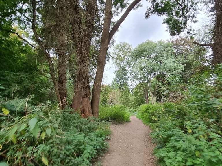 Watercress wildlife reserve Routes for Walking and Hiking | Komoot