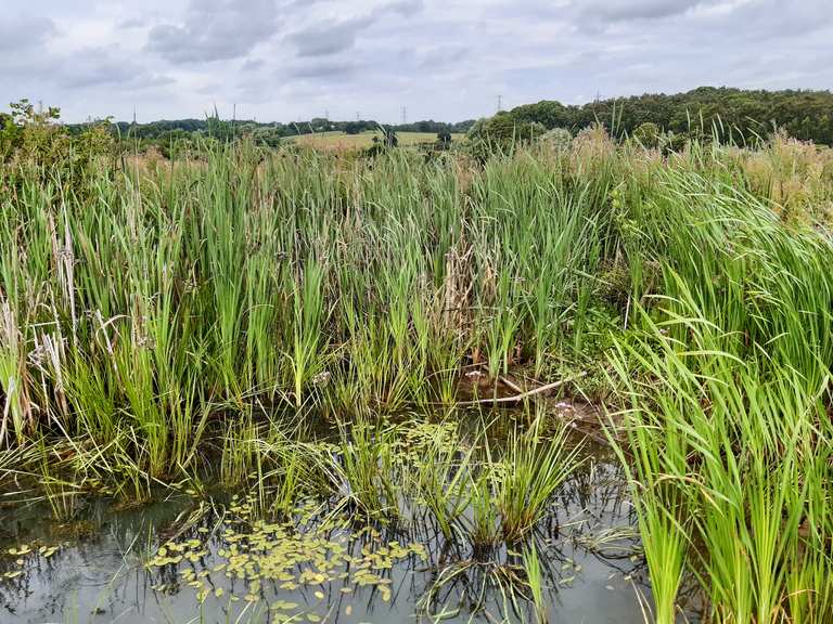 Chester Zoo Nature Reserve – Hikes & How to Get There | Komoot