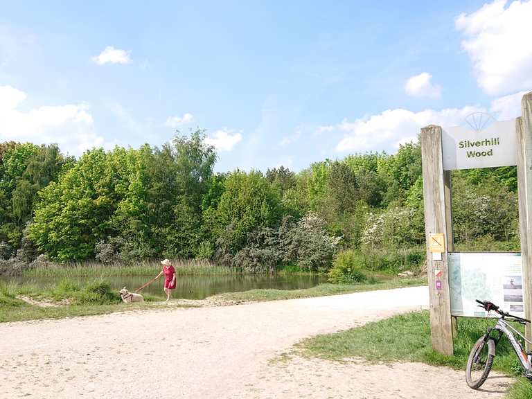 Silverhill Wood - Mountain Bike Trails & Tracks | Komoot