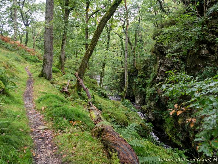 Cynfal Falls (Rhaeadr Cynfal) Routes for Walking and Hiking | Komoot