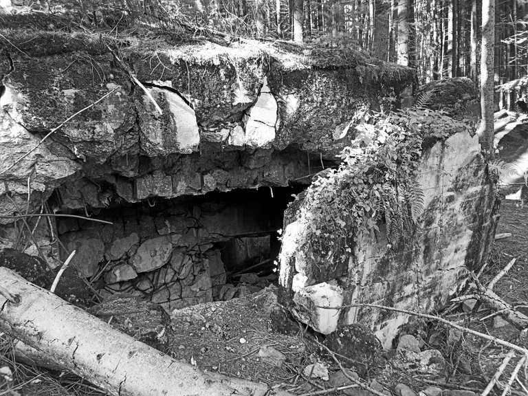 Westwall bunker standard type 10 in the Fischbach Forest Mountain Bike ...