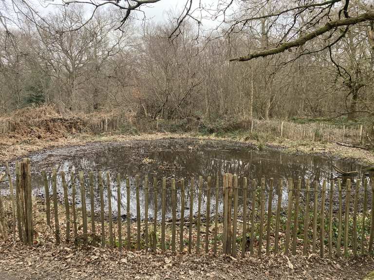 Banstead Wood – Narnia's Wardrobe Loop from Chipstead | hike | Komoot