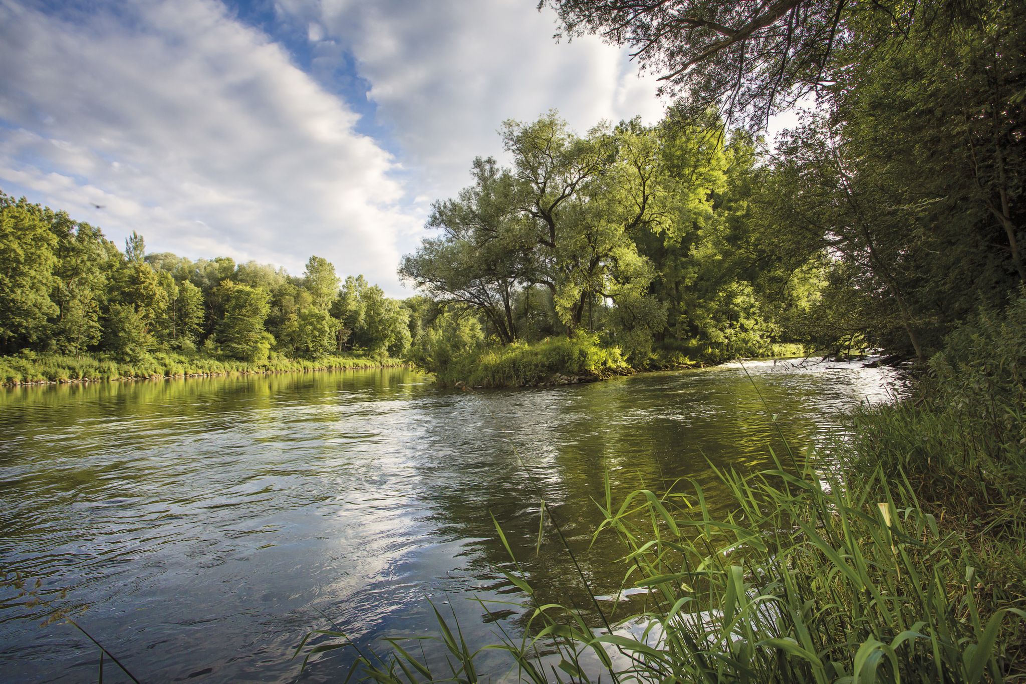 Donauradweg – Mündung der Mindel Runde von Dillingen an der Donau | Fahrradtour | Komoot