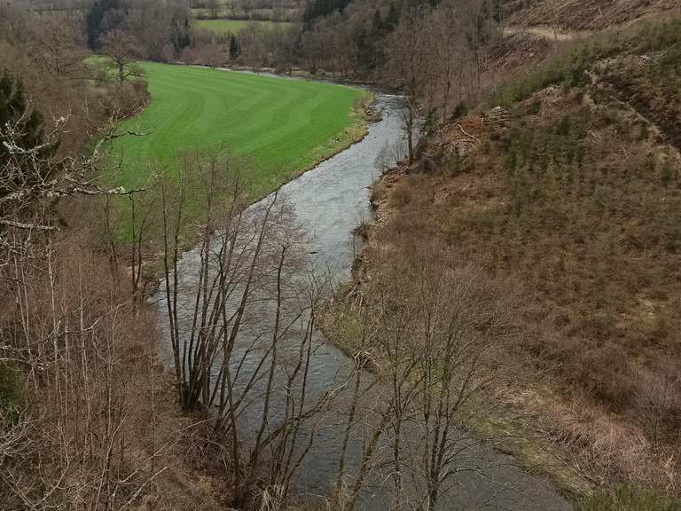 Rocher de Warche – point de vue: Wanderungen und Rundwege | komoot
