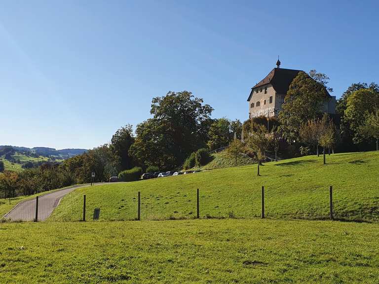 Schloss Oberberg: Wanderungen und Rundwege | komoot