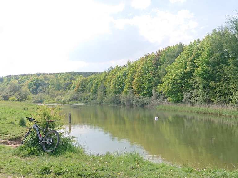 Silverhill Wood - Mountain Bike Trails & Tracks | Komoot