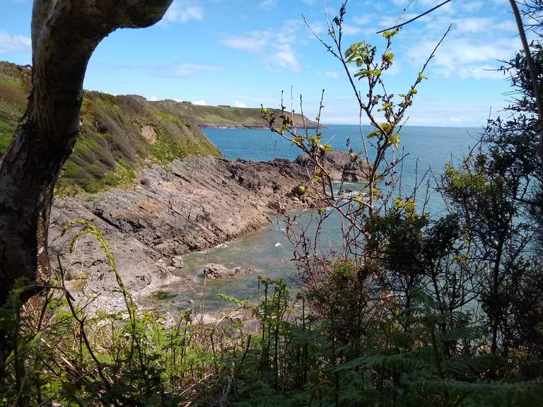 Brandy Cove Routes for Walking and Hiking | Komoot