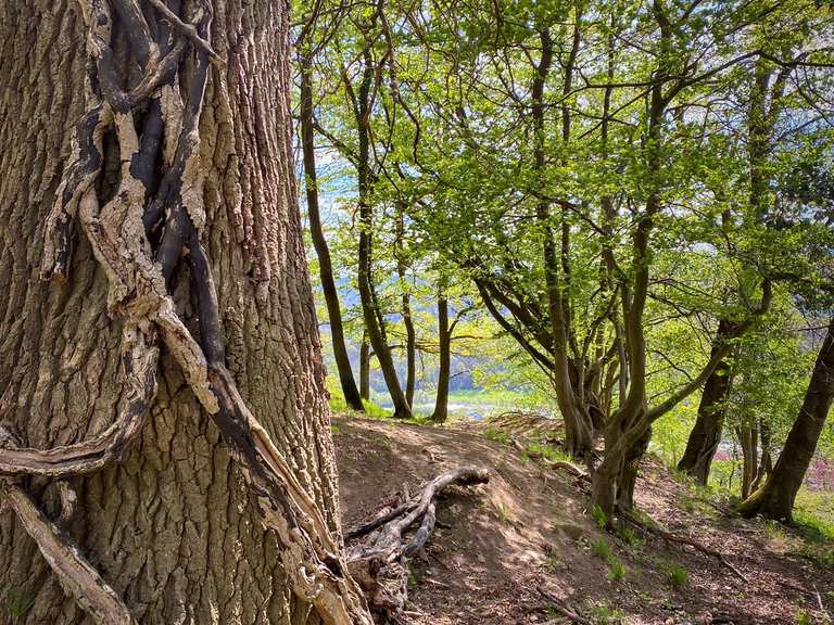 Chemin rocheux avec vue - Itinéraires de rando et marche | Komoot