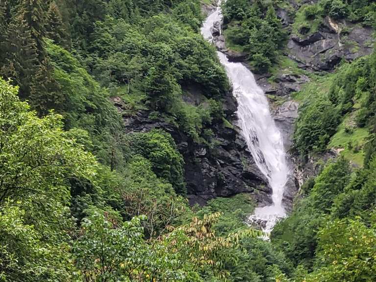 Weisstannen – Alp Siez, Weisstannental Runde von Weisstannen ...