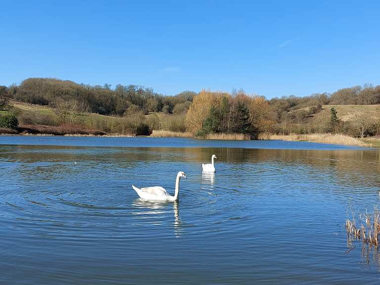 Duchess Pond Routes for Walking and Hiking | Komoot