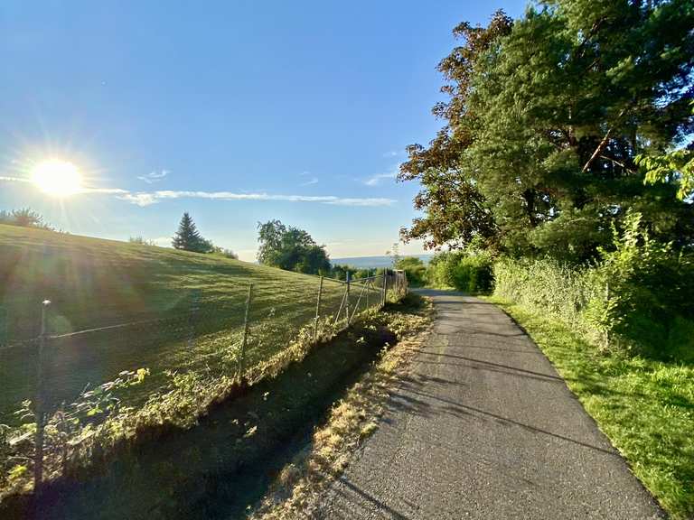 Am Georgenberg von RT nach Pfullingen: Mountainbike-Touren | komoot