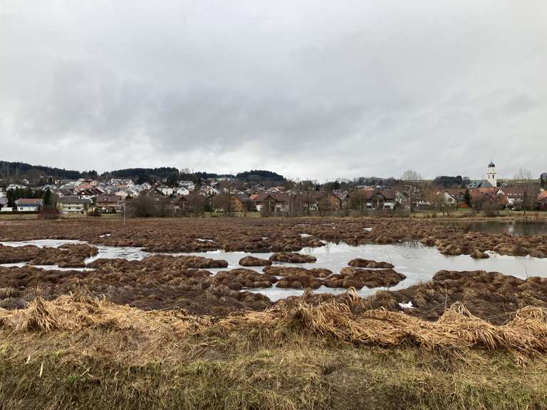 Mösle See und Naherholungsgebiet: Wanderungen und Rundwege | komoot