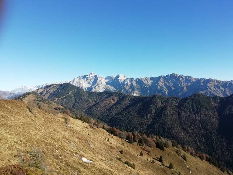 Ridge walk to Cima Durmont from Passo Daone (via Trail 356) | Caminata | Komoot