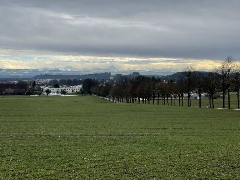 Waldegg Castle Routes for Walking and Hiking | Komoot