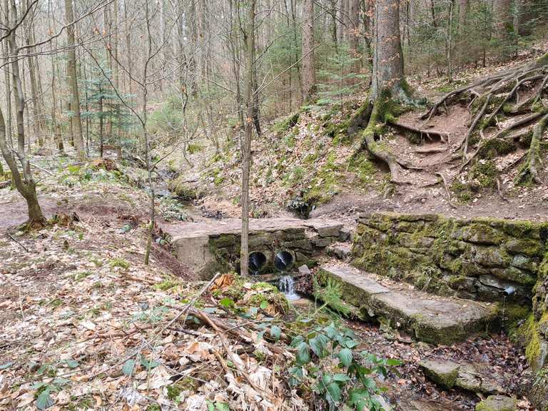 Wolf spring Routes for Walking and Hiking | Komoot