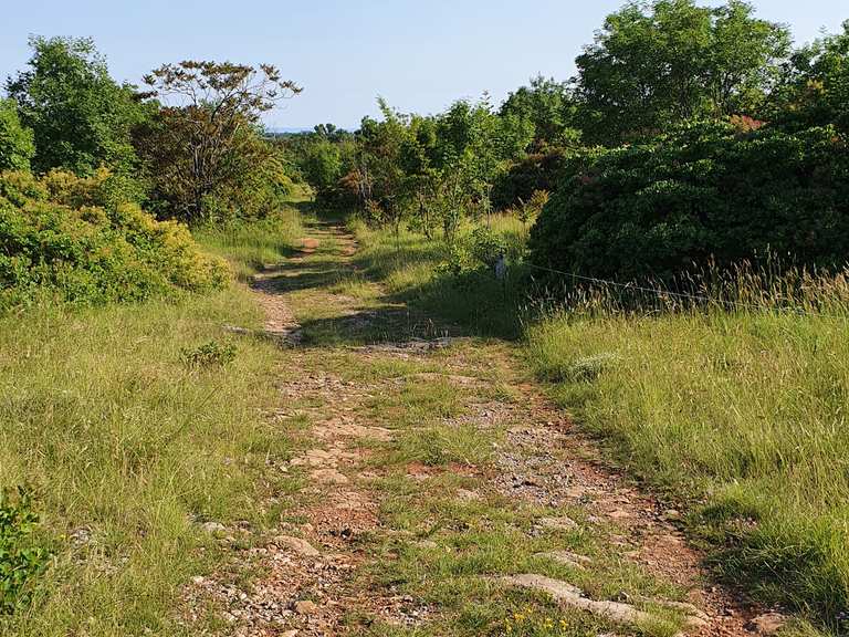 Lago di Doberdò - giro ad anello nella Riserva naturale dei Laghi di ...