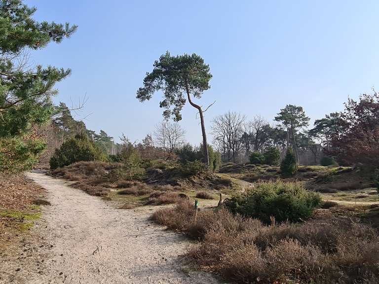 Overloon bos en zandduinen wandelroutes en hikes | Komoot