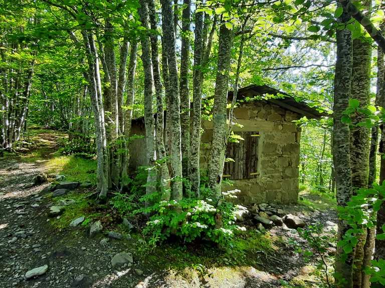 From Peschiera Zamboni to Monte Cusna (Routes 617 and 619) | Caminata ...