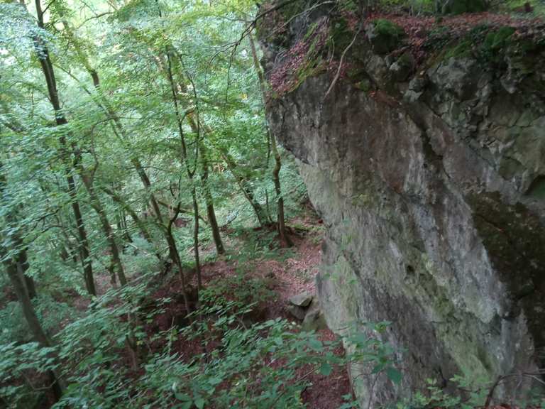 Die Keule im Selter – Felsen/Selterklippe Runde von Naensen | Wanderung ...
