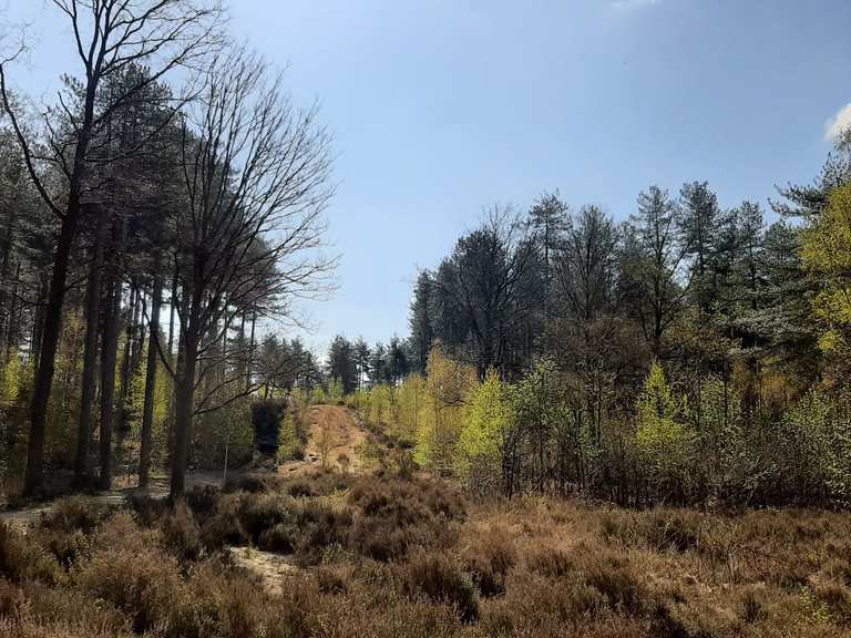 Averbode Bos en Heide wandelroutes en hikes | Komoot