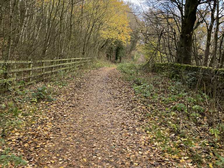 Upper Don Trail Cycle Path – Cycling Routes & How to Get There | Komoot