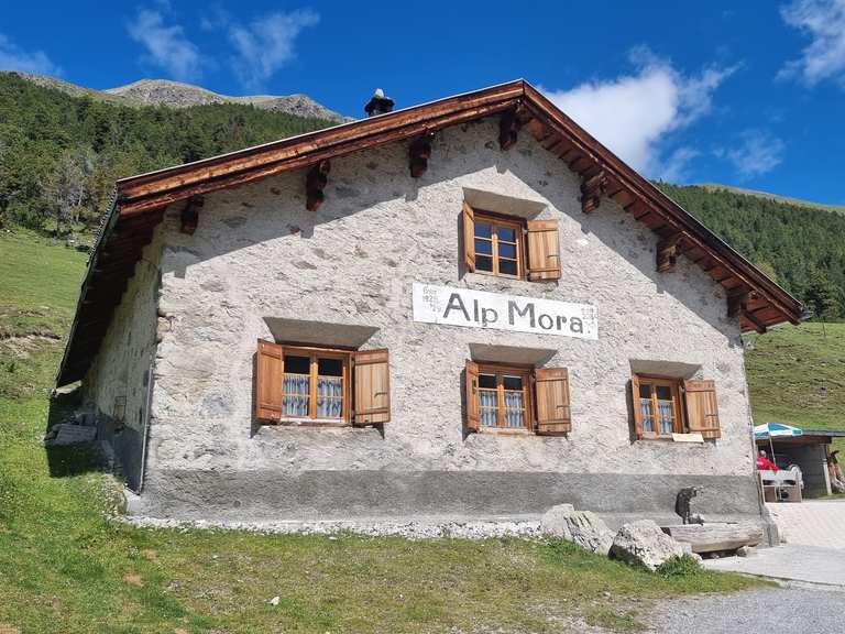 Alp Mora: MTB-routes en trails | Komoot