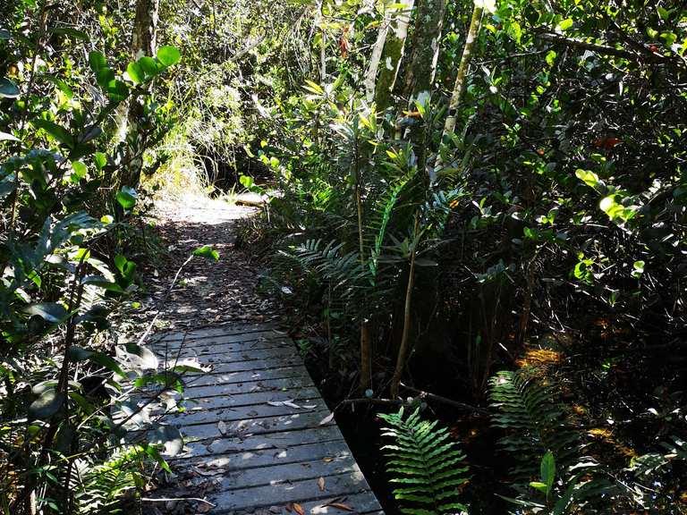 Shark Valley Loop Road — Everglades National Park | wandeling | Komoot