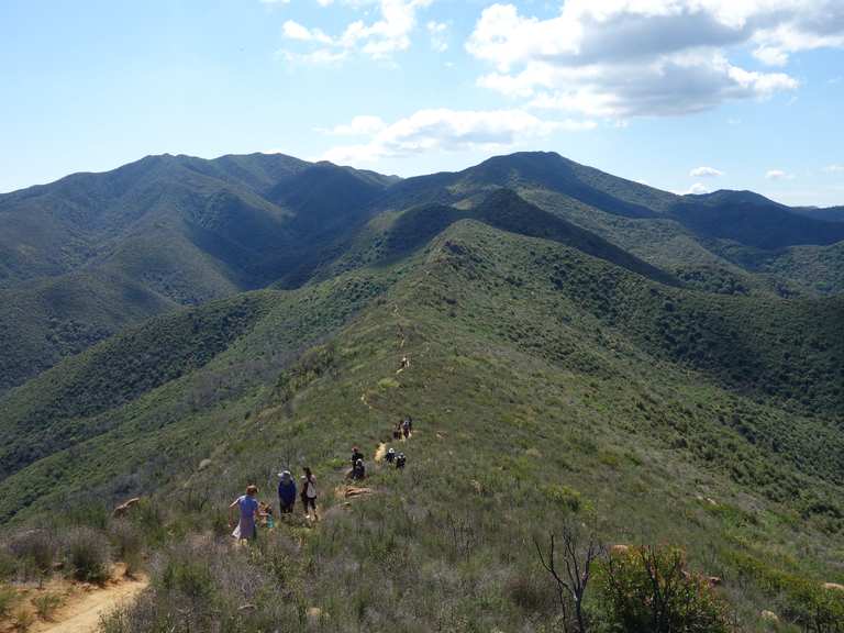 Blue Ridge Trail Loop — Stebbins Cold Canyon Reserve Vous rassemblez ...
