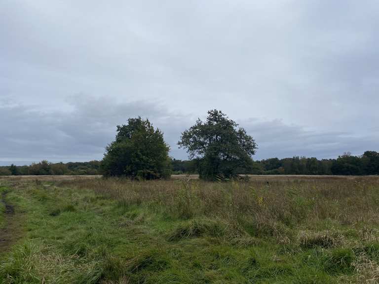 Sehr sumpfig, nasse Füße: Wanderungen und Rundwege | komoot