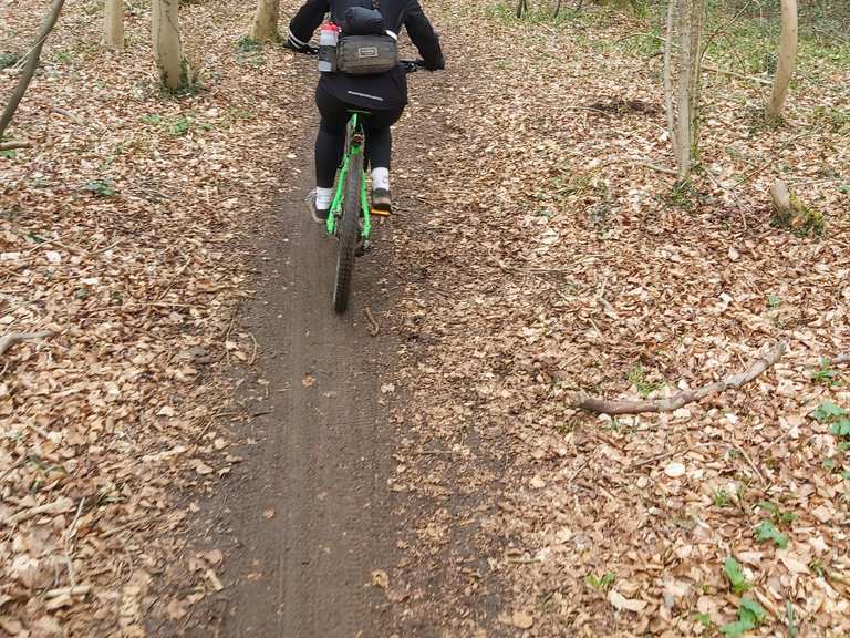 Buckholt woods singletrack Mountain Bike Trails & Tracks | Komoot