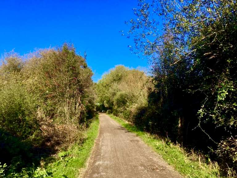 The Strawberry Line Cycle Routes and Map | Komoot