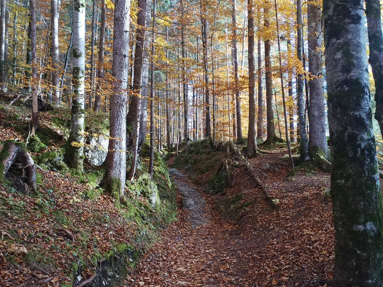 Römerstraße Via Raetia: Wanderungen und Rundwege | komoot
