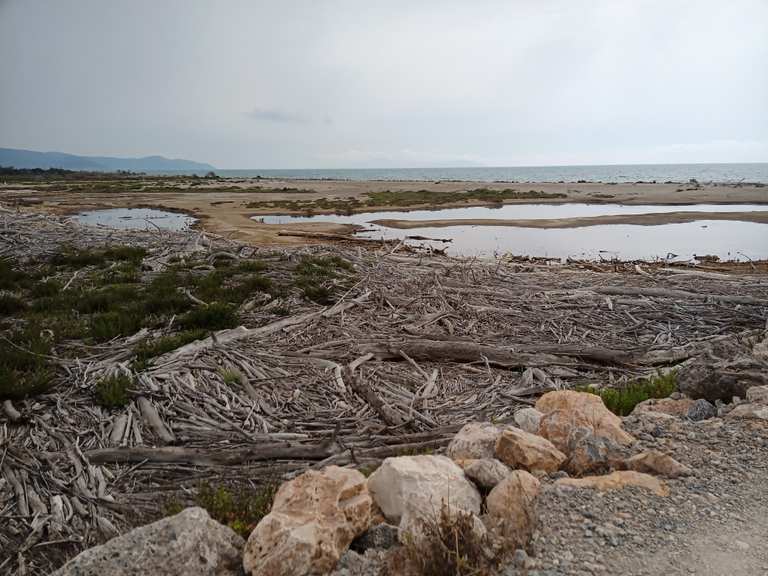 Pista ciclabile nella foce a delta dell'Ombrone Cycle Routes and Map ...