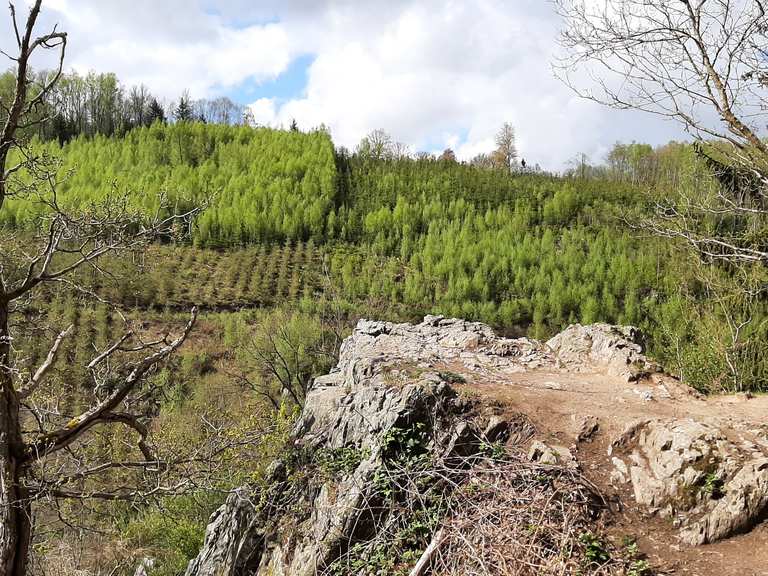 Rocher de Warche – point de vue - Itinéraires de rando et marche | Komoot