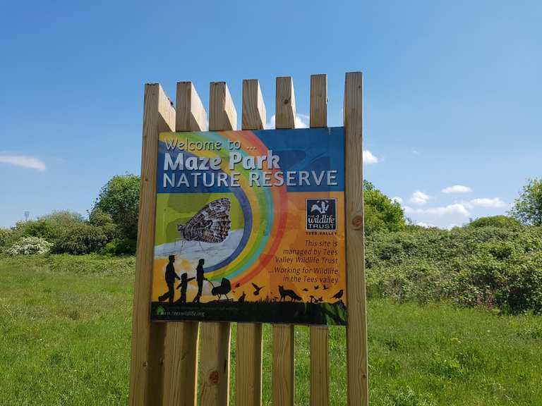 Portrack Marsh Nature Reserve Routes for Walking and Hiking | Komoot