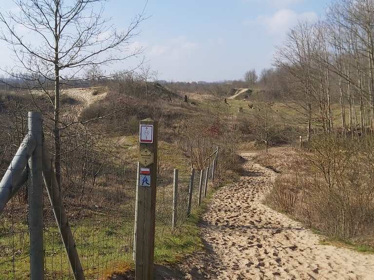 Krakeelduinen wandelroutes en hikes | Komoot