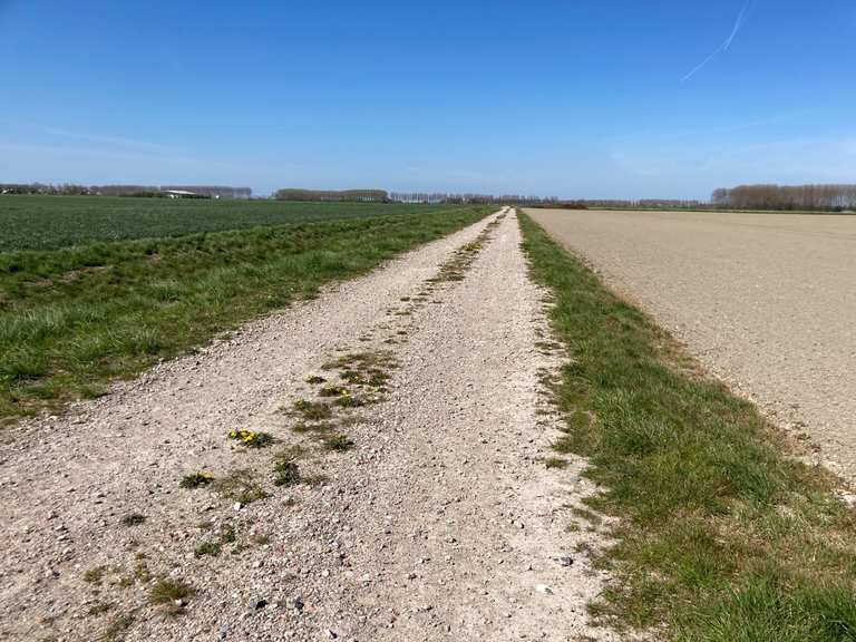 Unpaved Road Between Meadows – Cycling Routes & How to Get There | Komoot