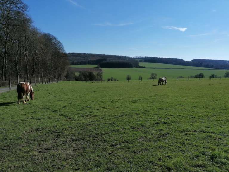 Balade autour de Mozet – Château de Goyet boucle au départ de Thon ...